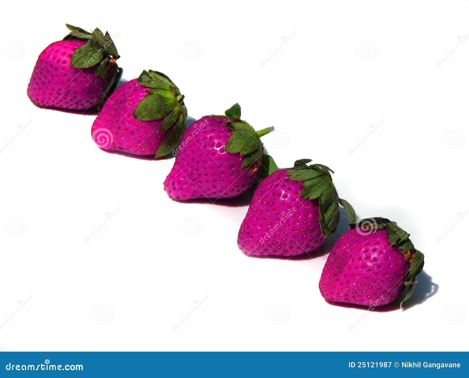 Pink Strawberries stock image. Image of strawberries - 25121987