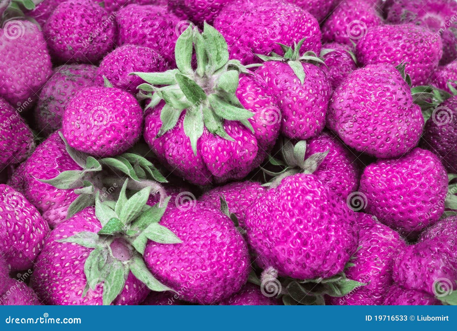Pink strawberry stock image. Image of creative, berry - 19716533
