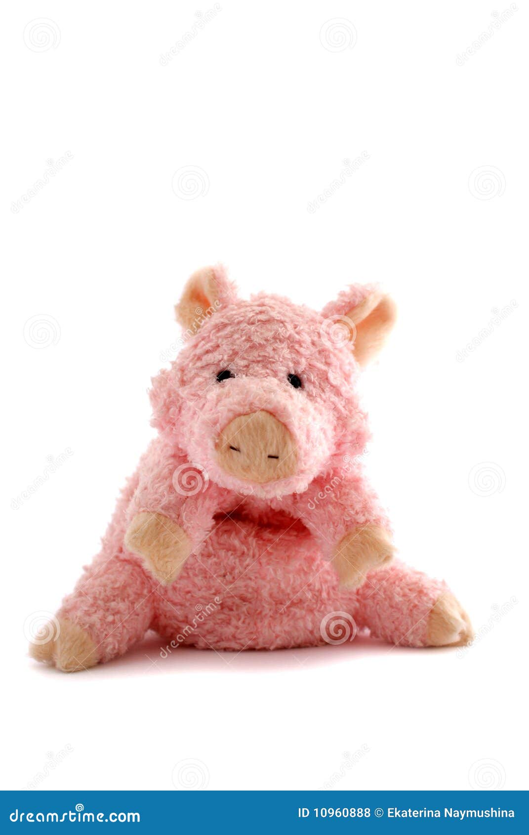 Pink stuffed piglet stock photo. Image of decoration - 10960888