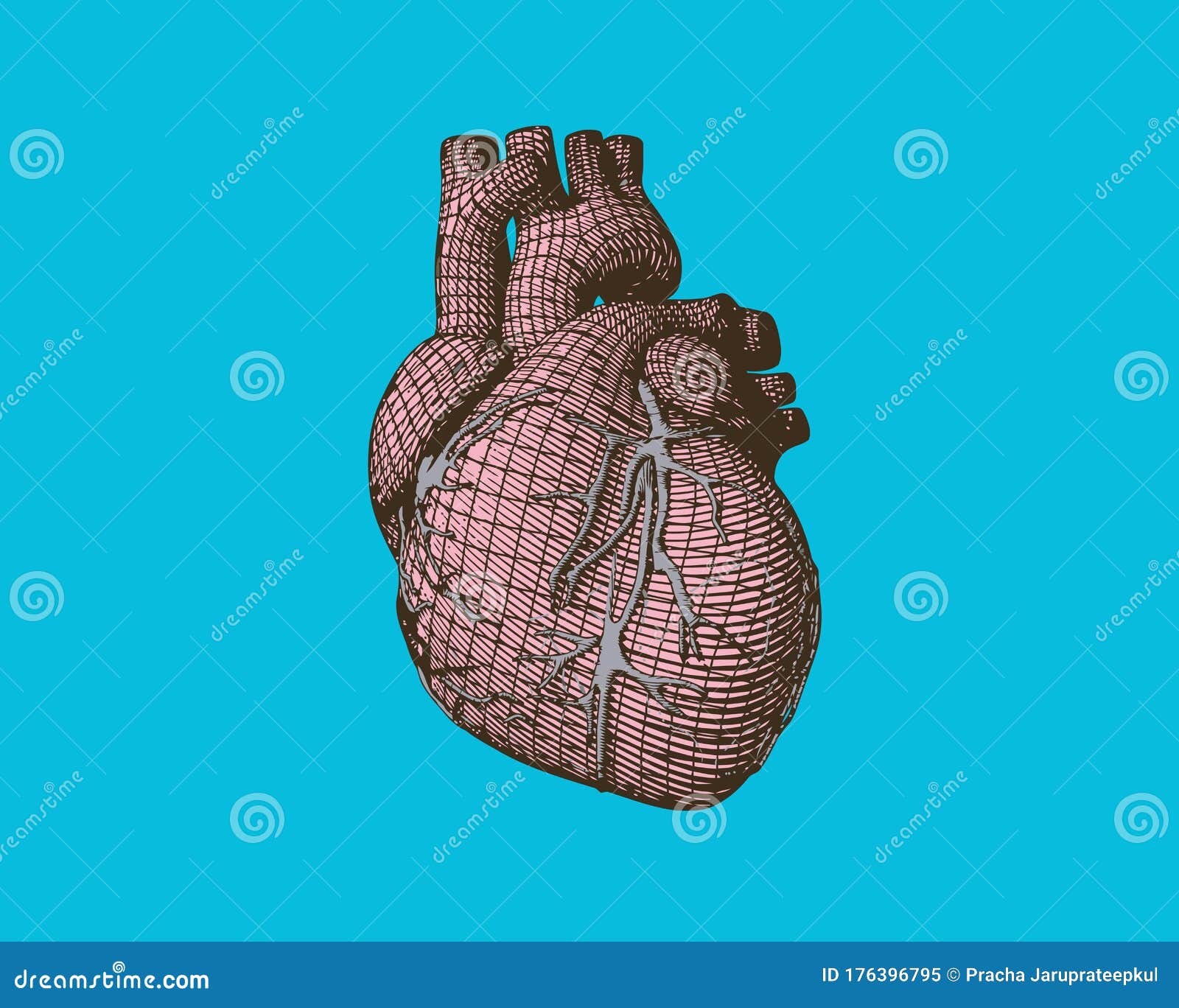 Pink Wireframe Human Heart on Green BG Stock Vector - Illustration of ...