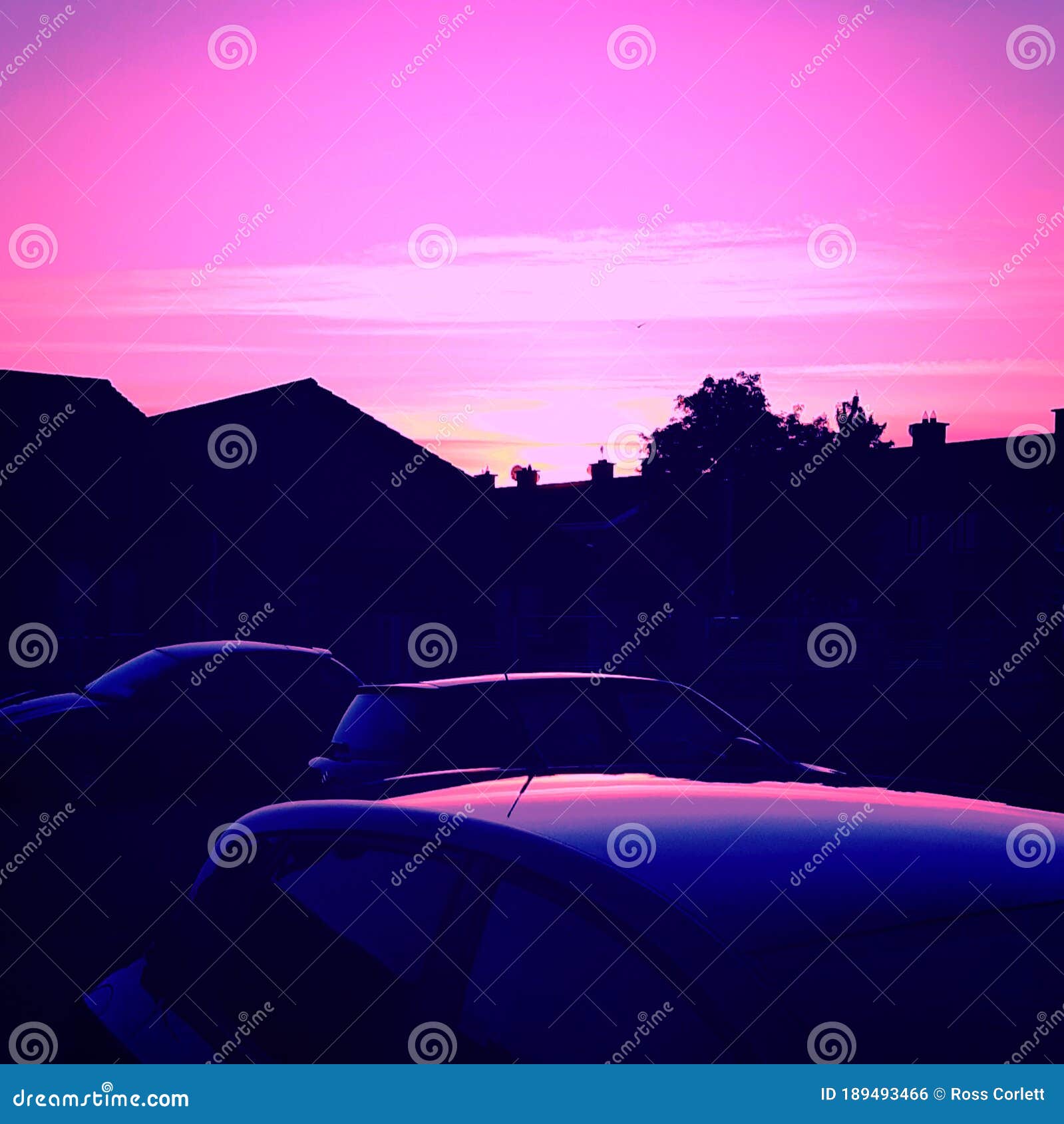 Pink Sun Set stock photo. Image of sunset, sunrise, horizon - 189493466