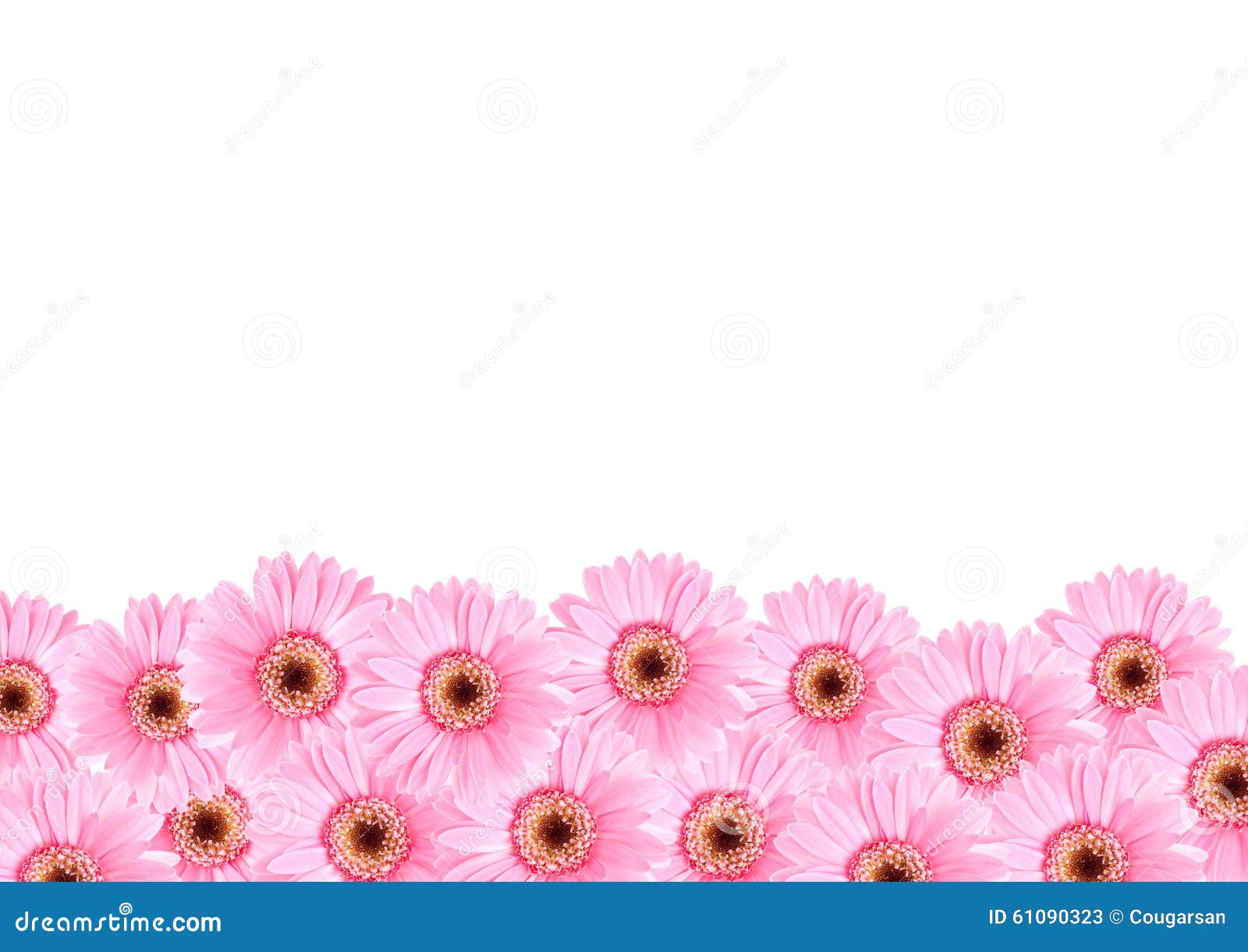341 Sunflower Bottom Background Stock Photos - Free & Royalty-Free ...