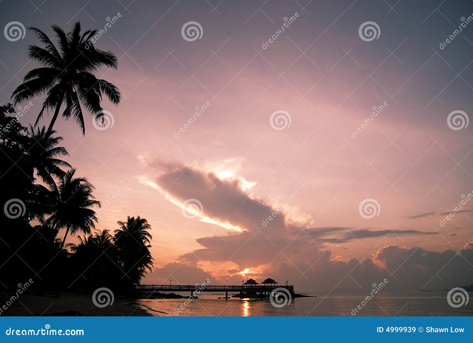 Pink Sunrise with Coconut Tree Stock Image - Image of singapore, huts ...