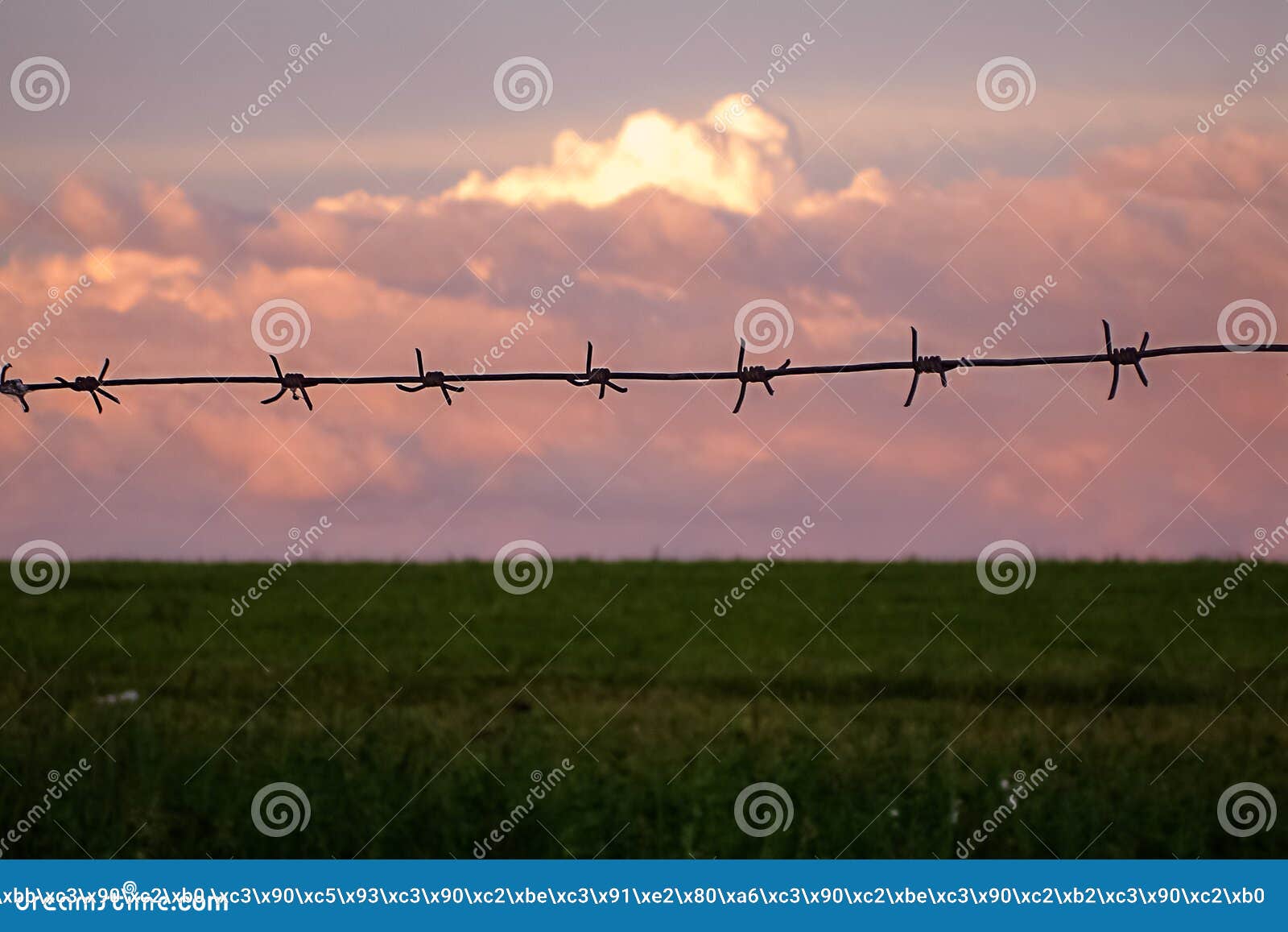 Grass Prison Royalty-Free Stock Image | CartoonDealer.com #48002038