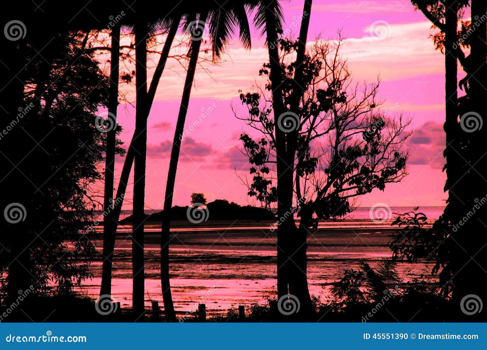 Pink sunset stock photo. Image of color, warmth, silhouette - 45551390