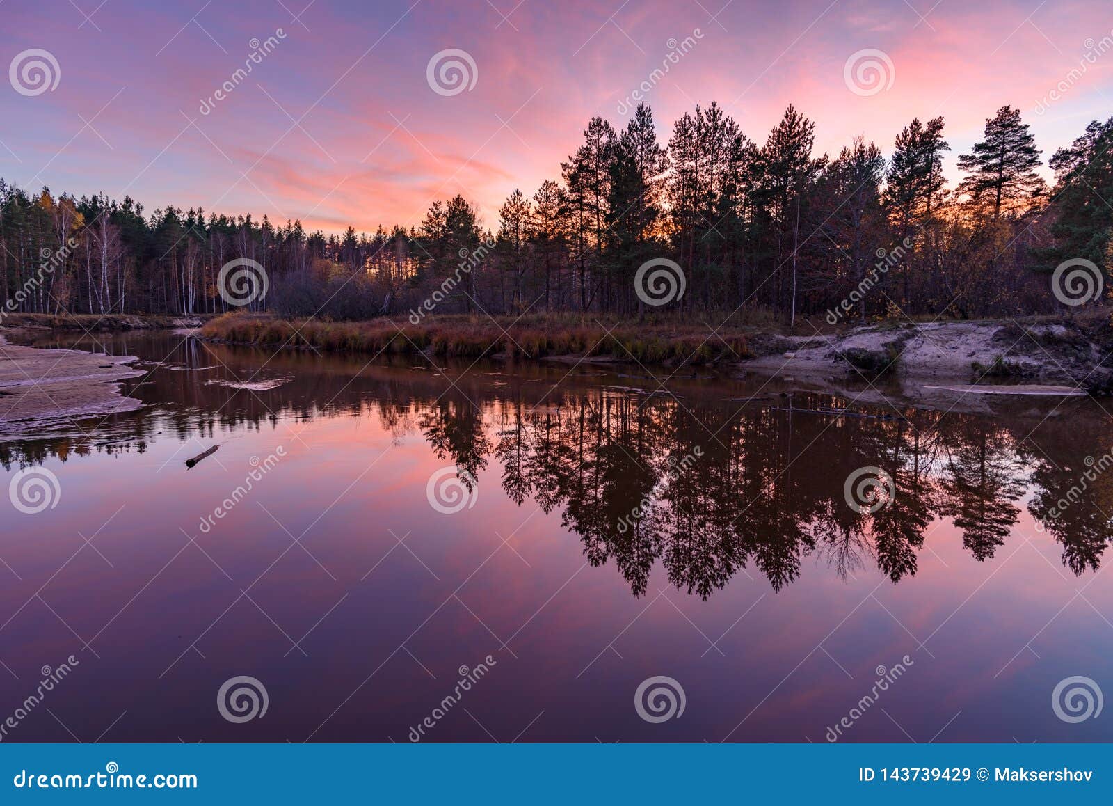 Pink Sunset in the Forest. Reflection in Water Forest and Sunset ...