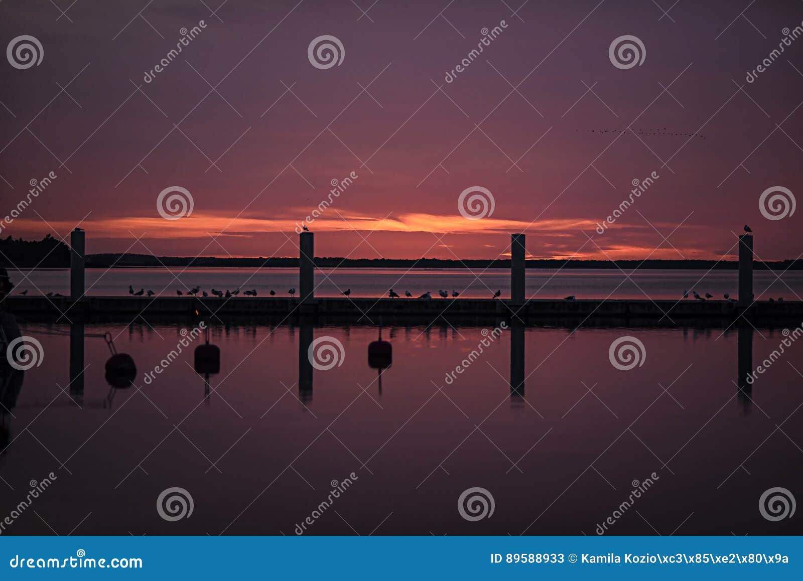 Pink Sunset Inmarine with a Birds Sitting on a Jetty Stock Image ...