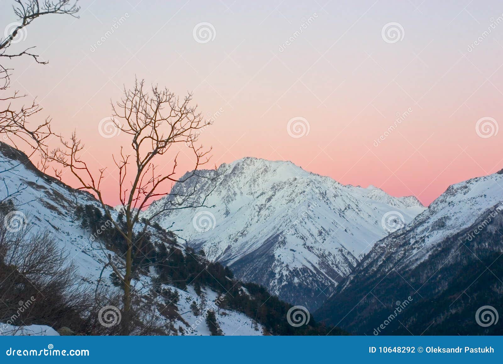 Pink Sunset in the Mountains Stock Photo - Image of canyon, beauty ...