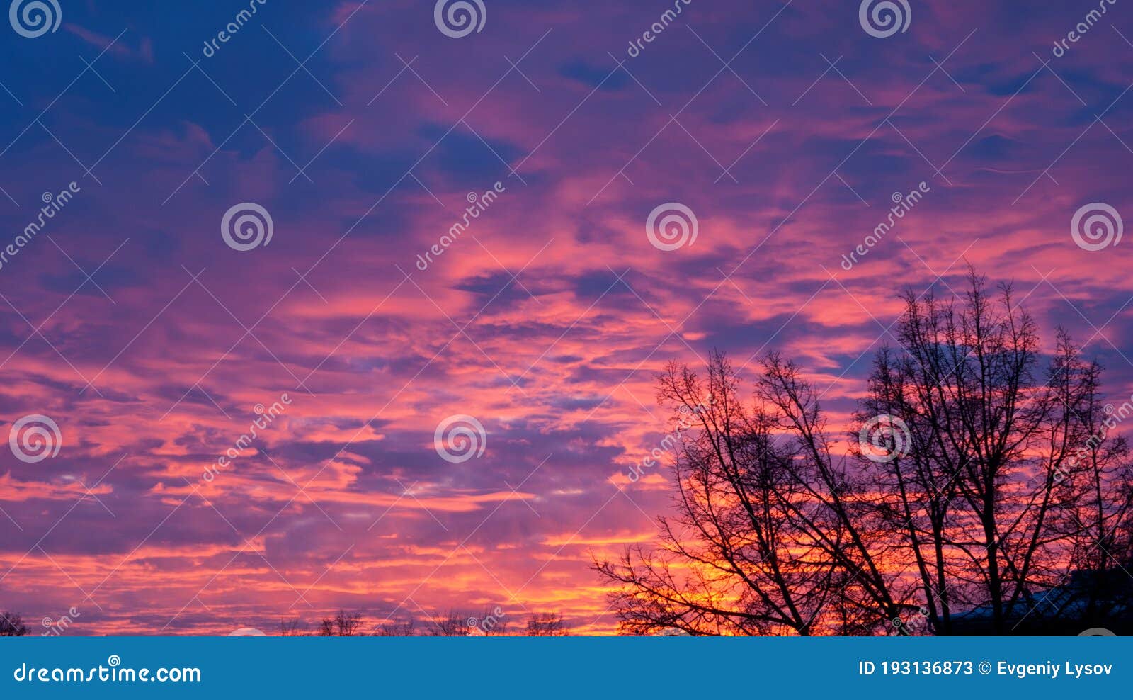 Pink sunset stock image. Image of pinkorange, horizon - 193136873
