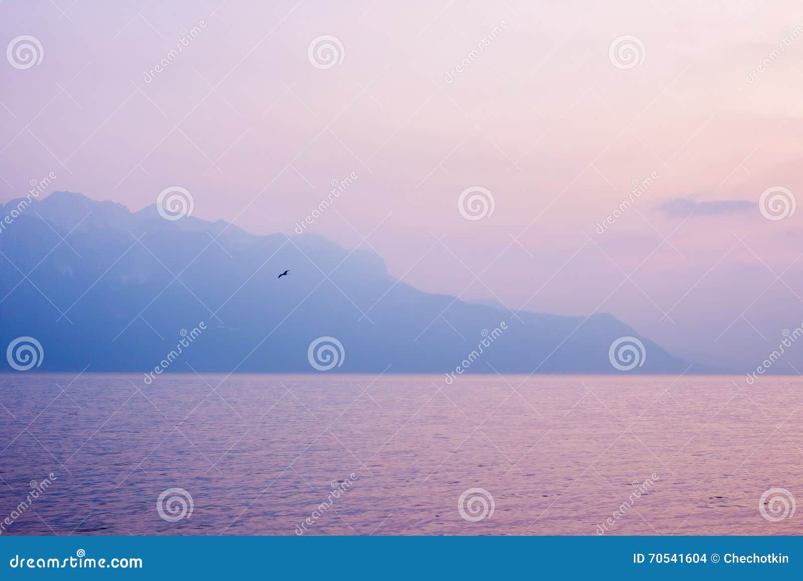 Pink sunset over lake stock photo. Image of silhouette - 70541604