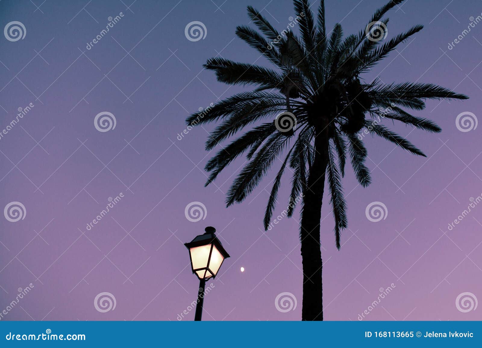 Pink Sunset with Palm Tree stock image. Image of pink - 168113665