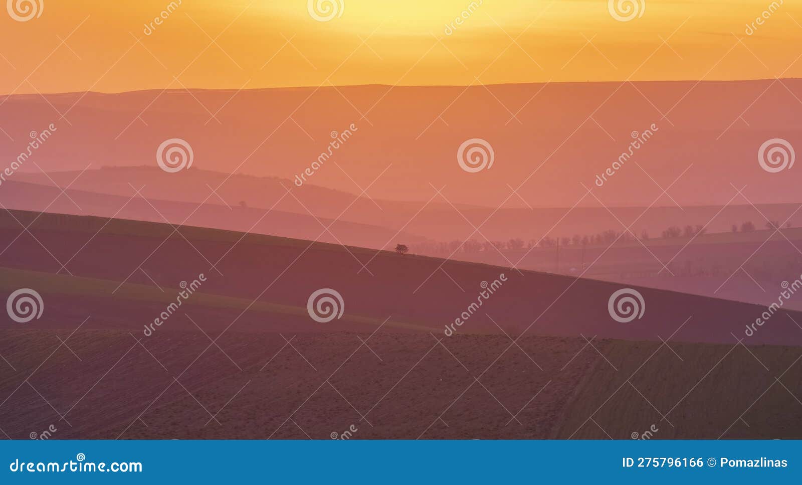 Pink Sunset in Spring Fields in the South Stock Photo - Image of nature ...