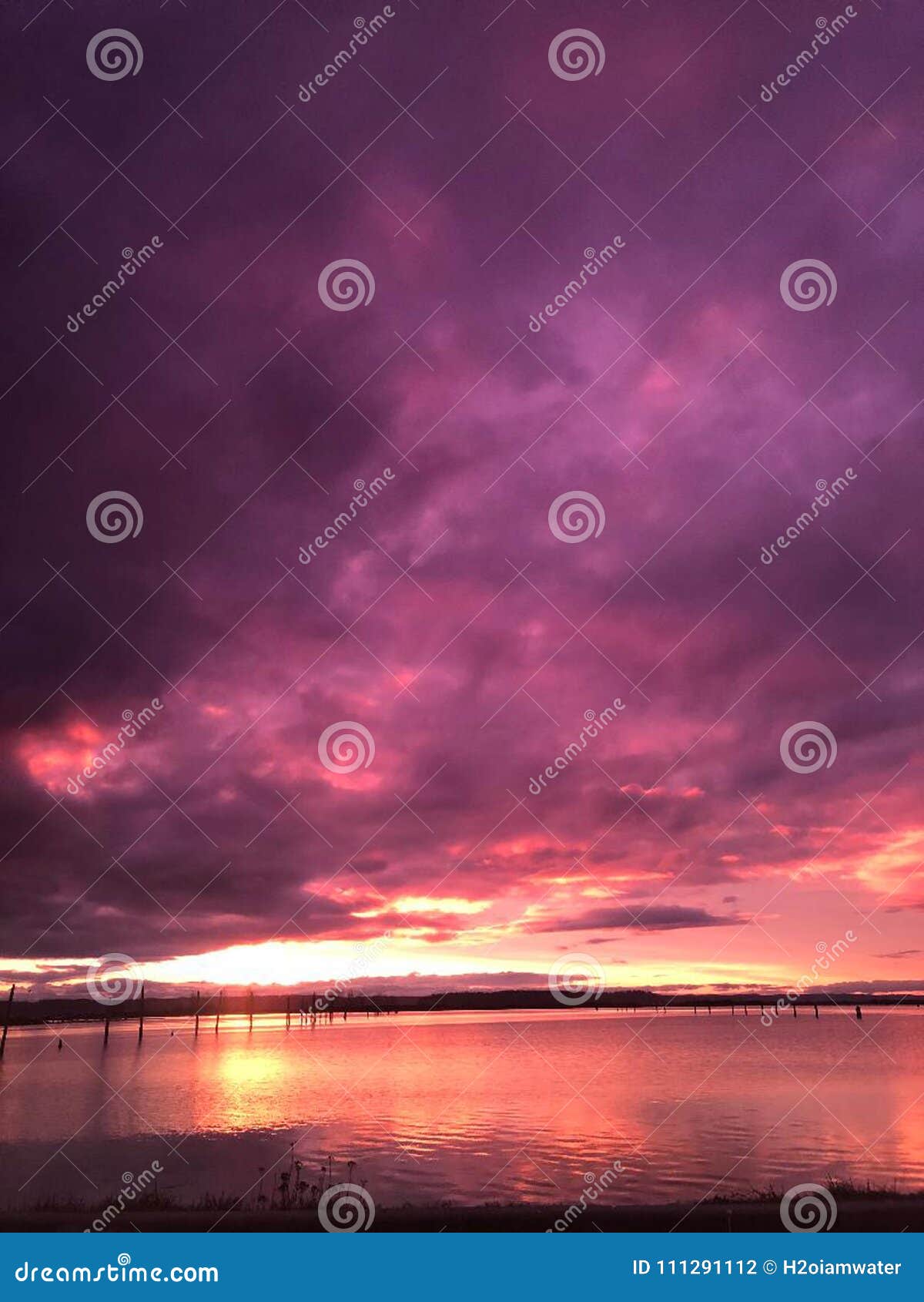 Pink Sunset on a Spring Night on the Waterfront. Stock Photo - Image of ...
