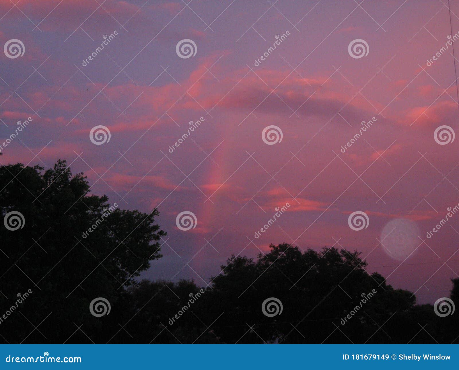 Pink sunset with trees stock image. Image of trees, pink - 181679149