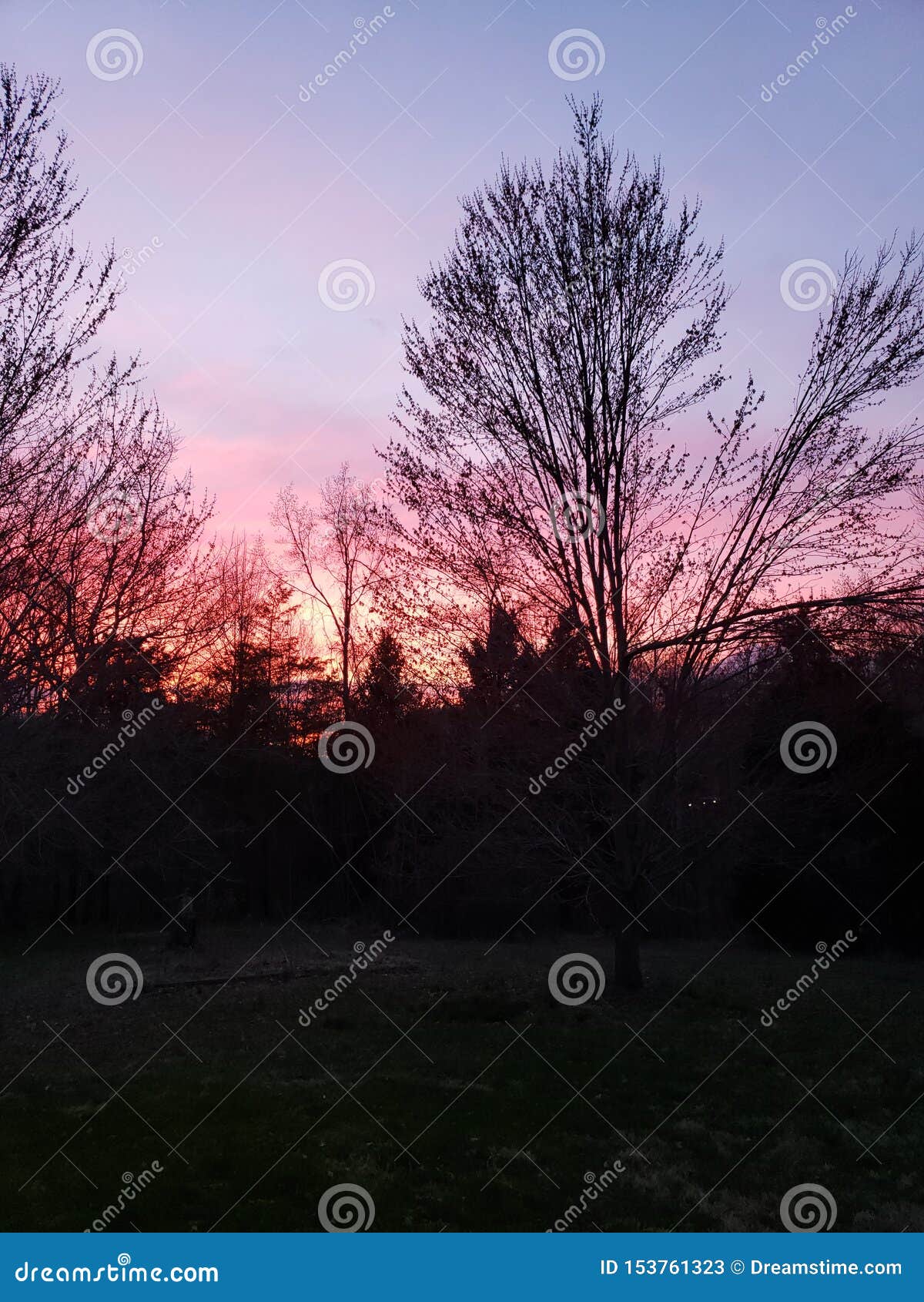 Pink sunset stock image. Image of sunset, country, trees - 153761323