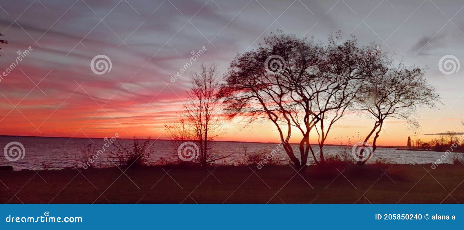 Pink sunset on the water stock photo. Image of sunset - 205850240