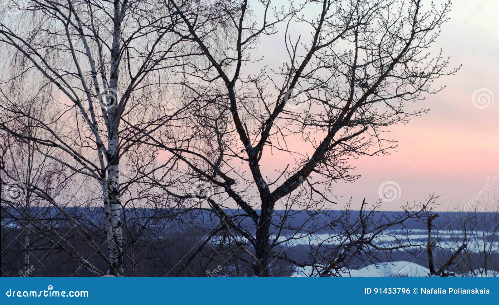 Pink sunset in winter stock photo. Image of sunset, pink - 91433796