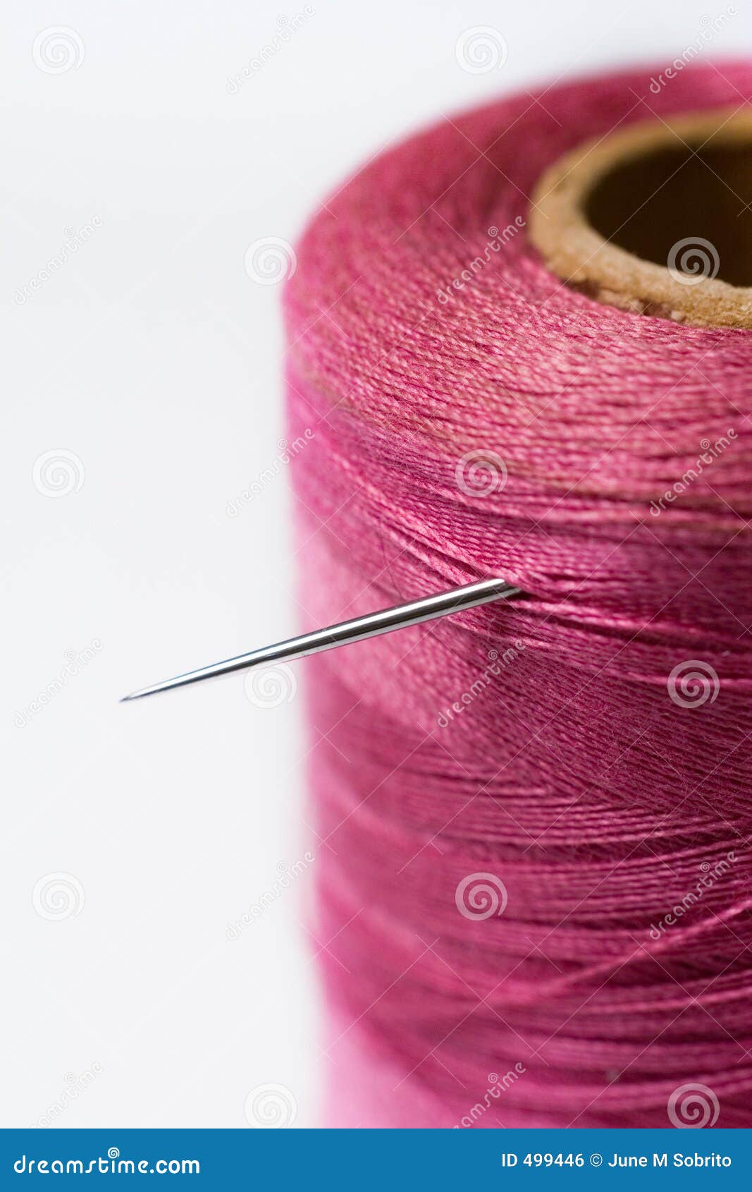 Pink Thread stock photo. Image of spool, needlework, darn - 499446