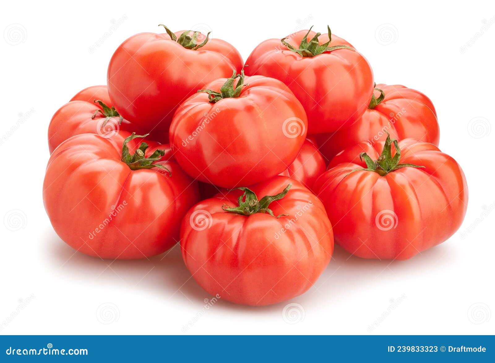 Pink tomato path isolated stock image. Image of isolated - 239833323