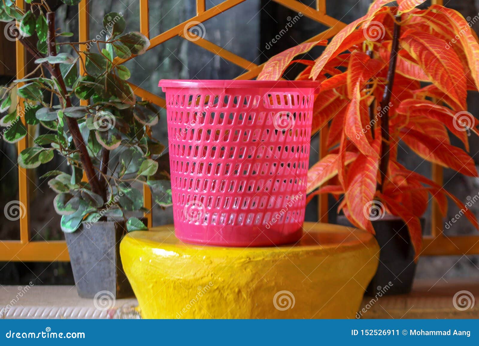 A Pink Trash Can with a Floral Background in the Garden Stock Image ...