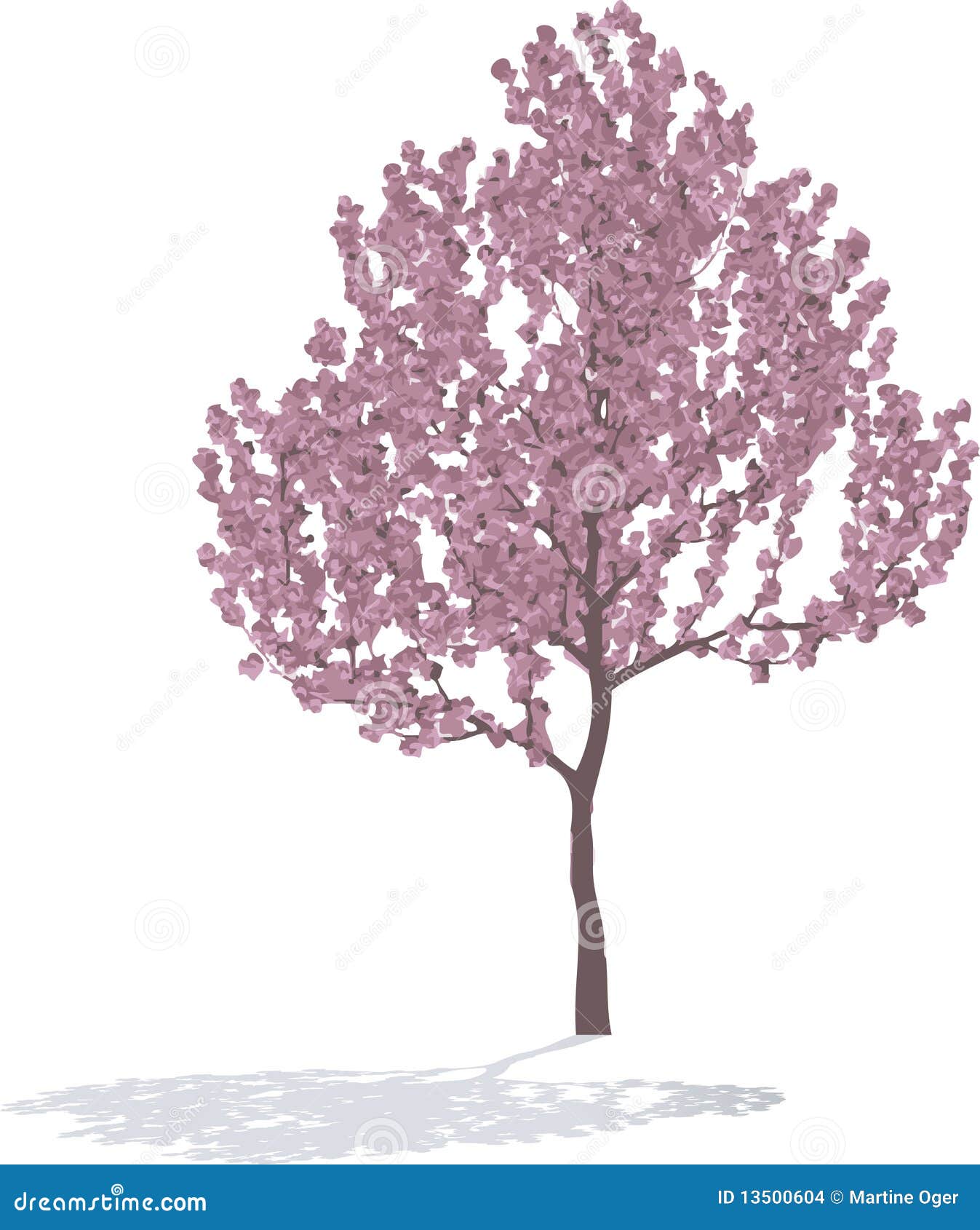Pink Tree Branches Isolated On A White Background. Floral Blanks ...