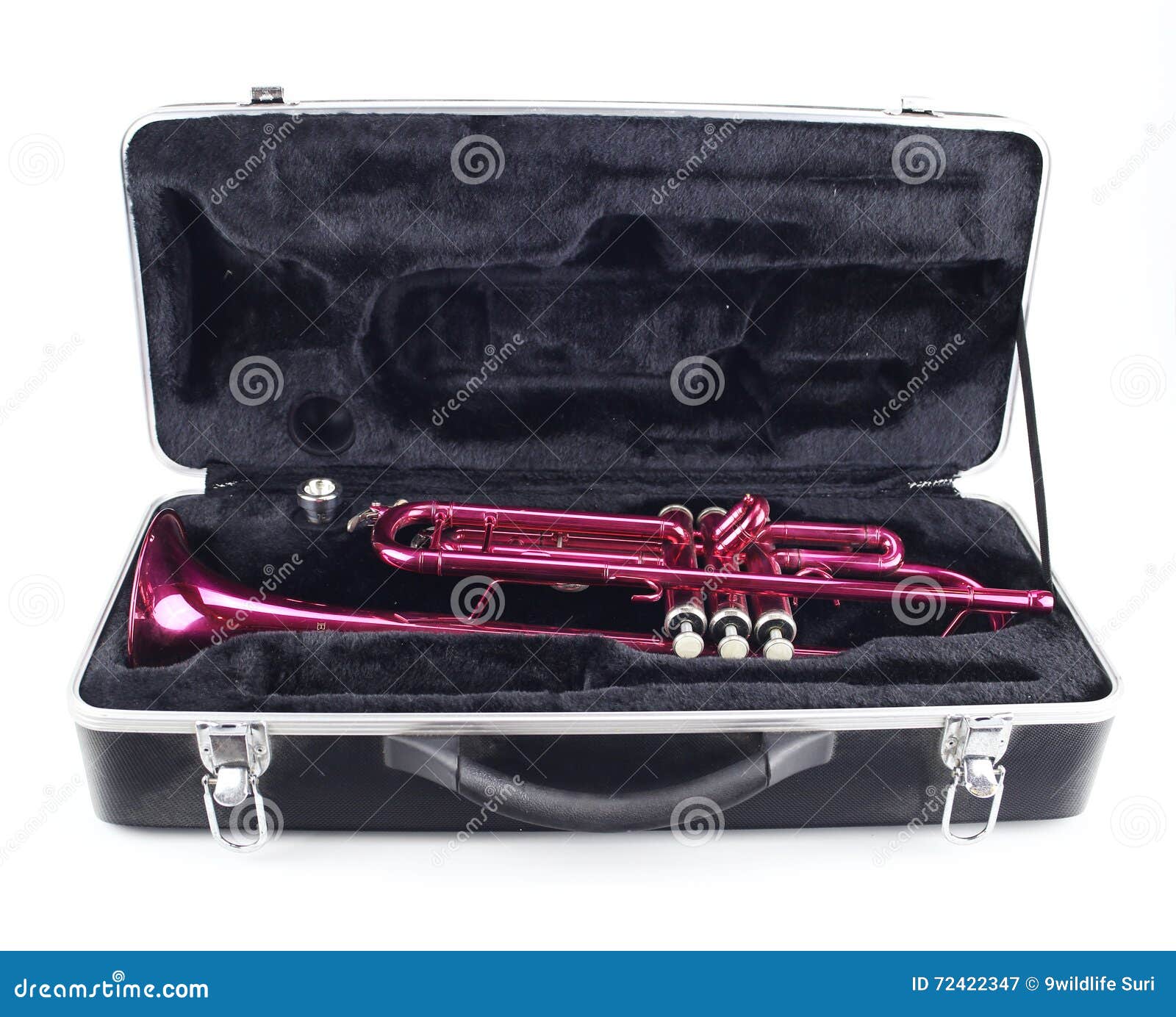 Pink Trumpet in the Box on White Background Stock Image - Image of pink ...