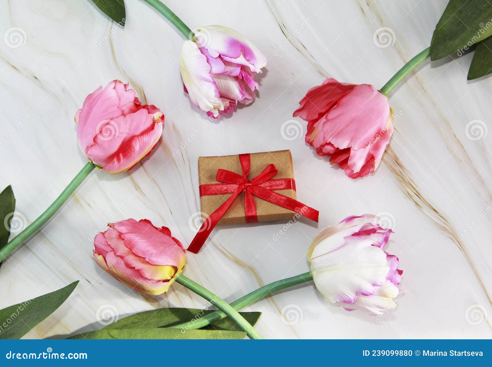 Pink tulips and gift boxes stock photo. Image of celebration - 239099880