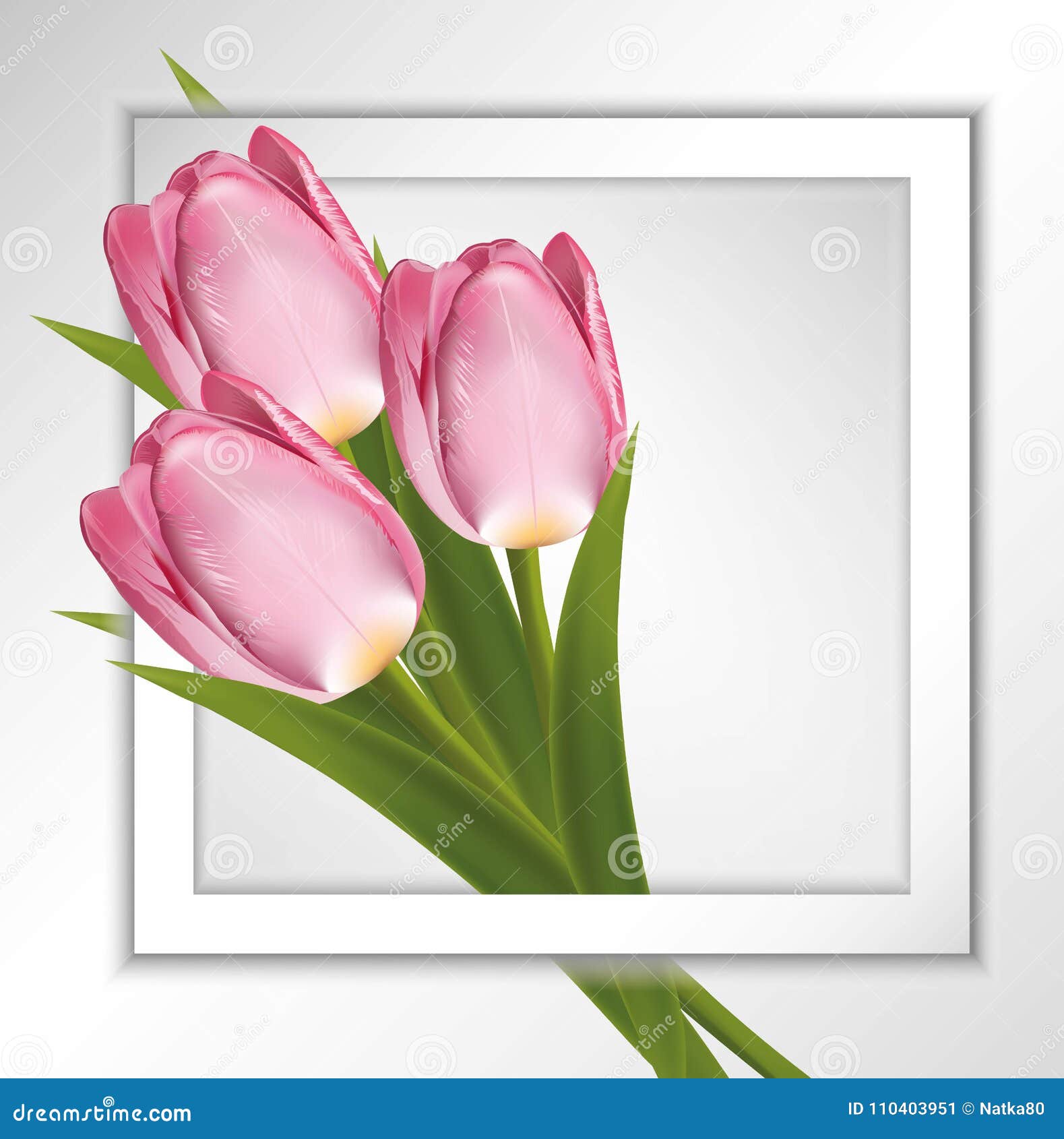 Pink Tulips Paper Frame on White Background with Stock Vector ...