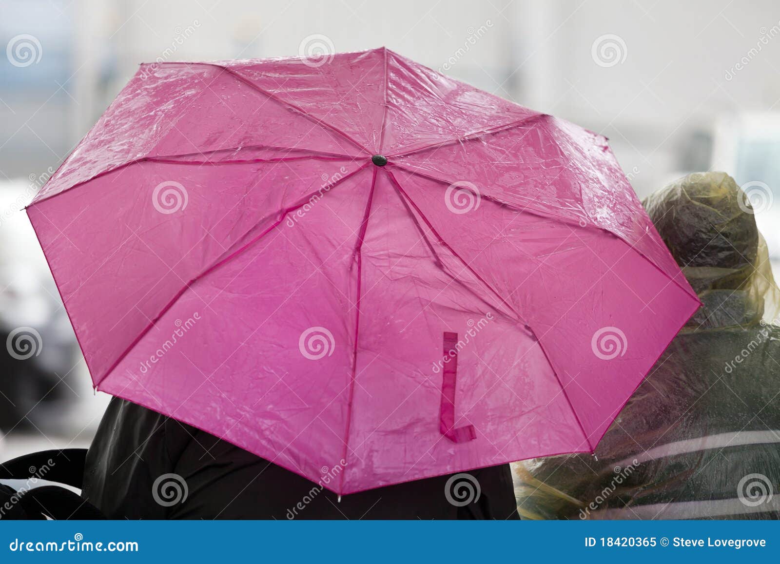 Pink Umbrella stock image. Image of rain, downpour, water - 18420365