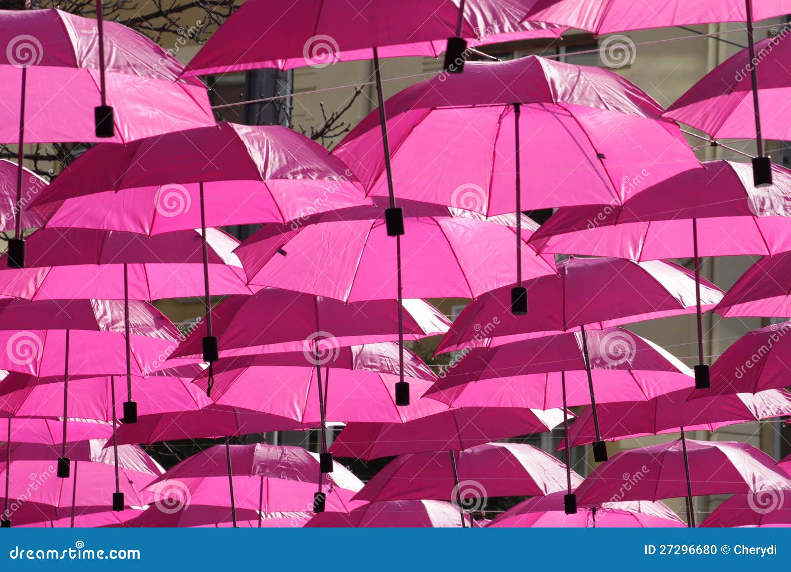 3,288 Pink Umbrellas Stock Photos - Free & Royalty-Free Stock Photos ...