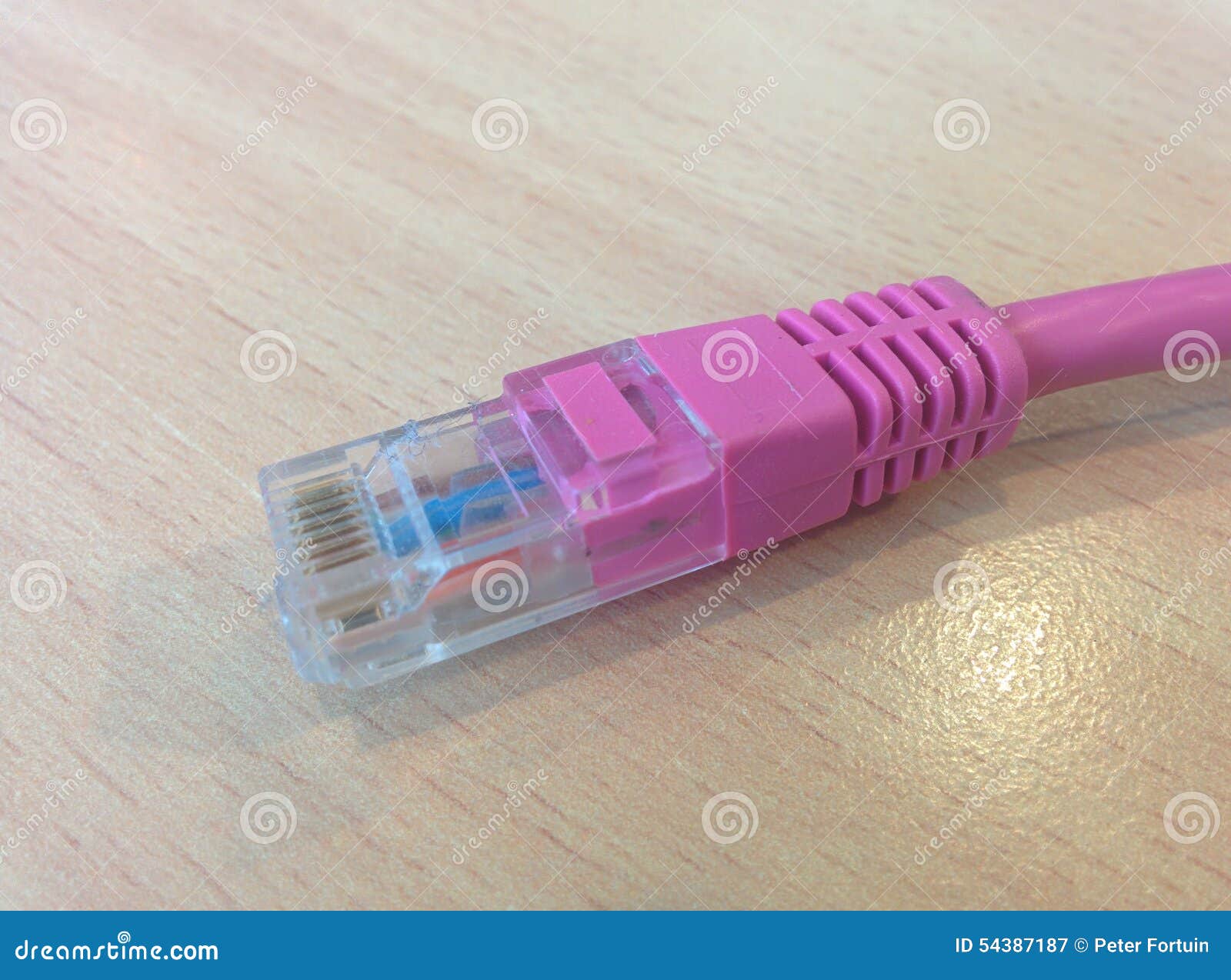 Pink UTP network cable stock image. Image of internet - 54387187