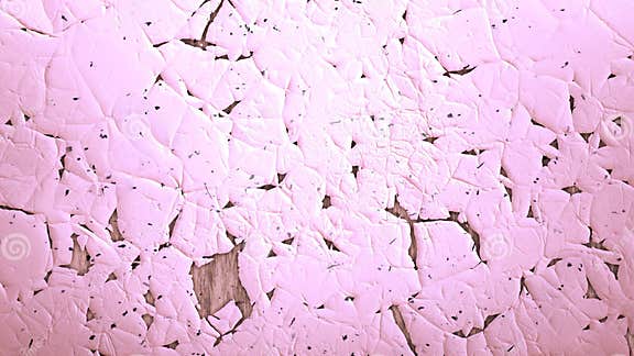 Pink Wall Pattern Background Beautiful Elegant Illustration Graphic Art ...