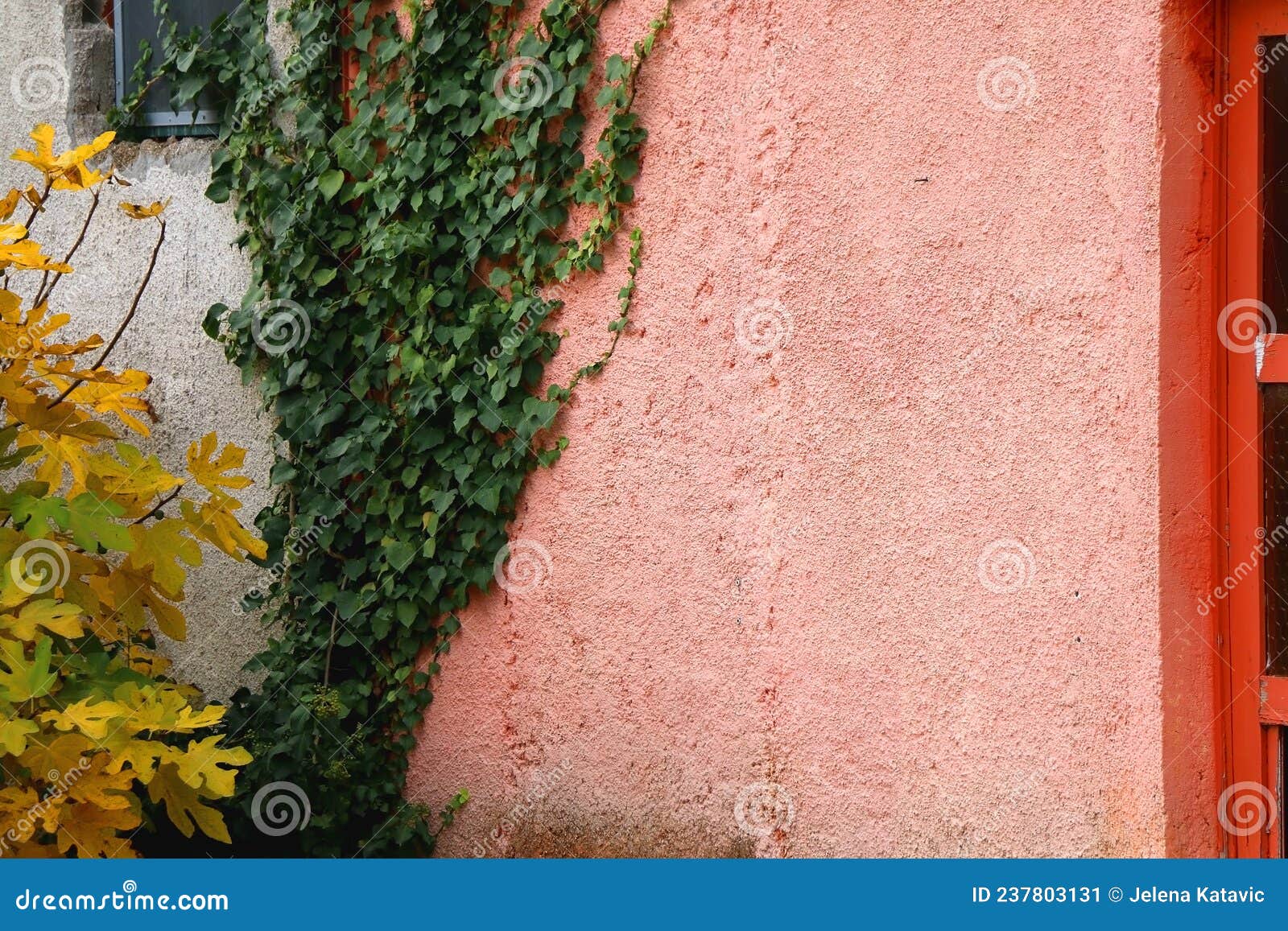Pink Wall stock image. Image of detail, pink, door, pastel - 237803131