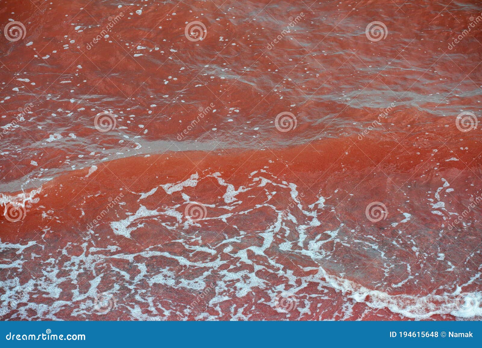 Pink Water on the Dead Sea with Waves, Natural Background, Horizontal ...