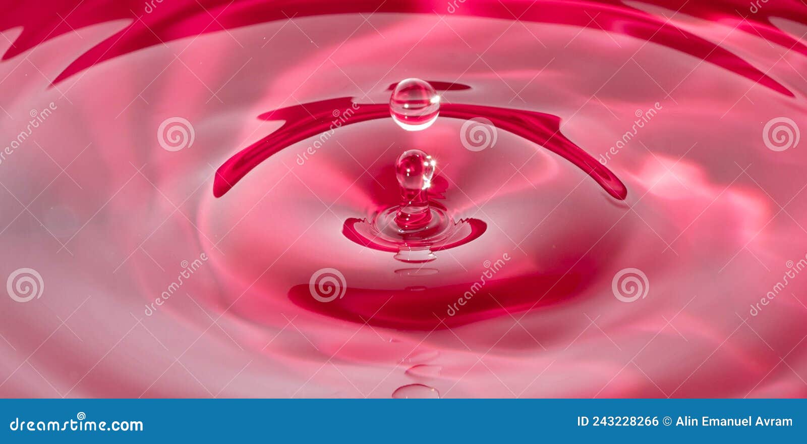 Pink water dropplet stock photo. Image of flower, wheel - 243228266