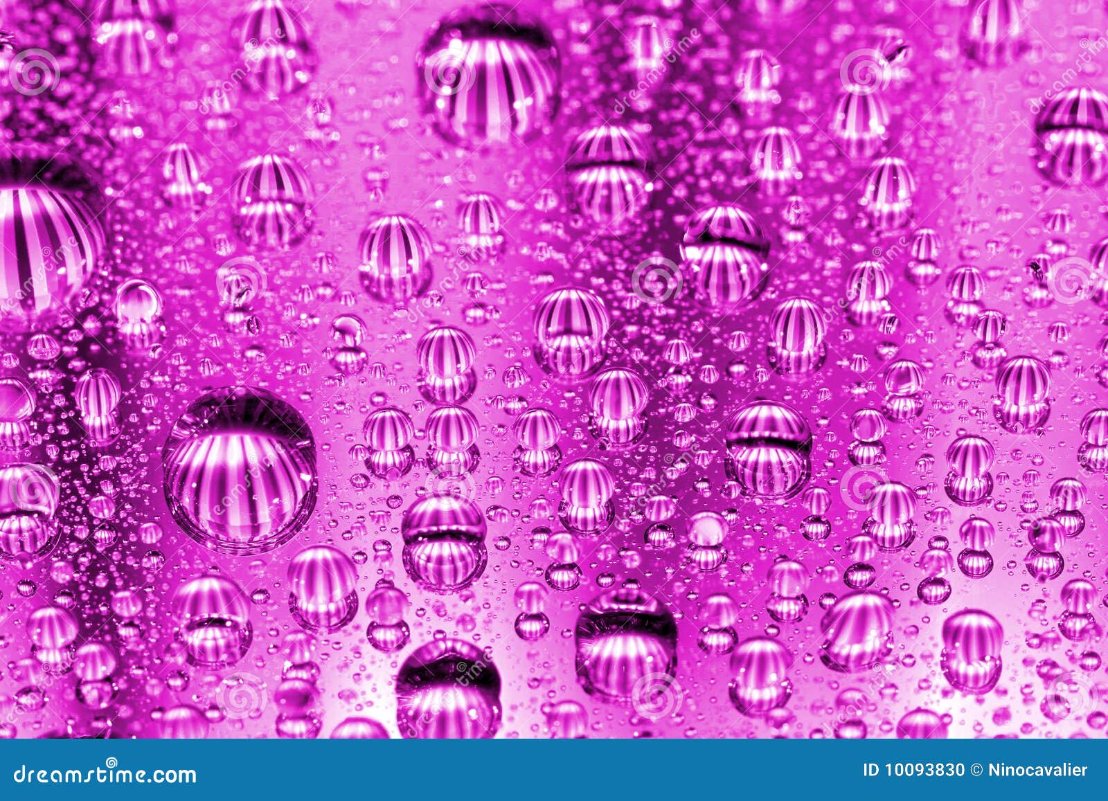 Pink water drops stock photo. Image of blue, abstract - 10093830