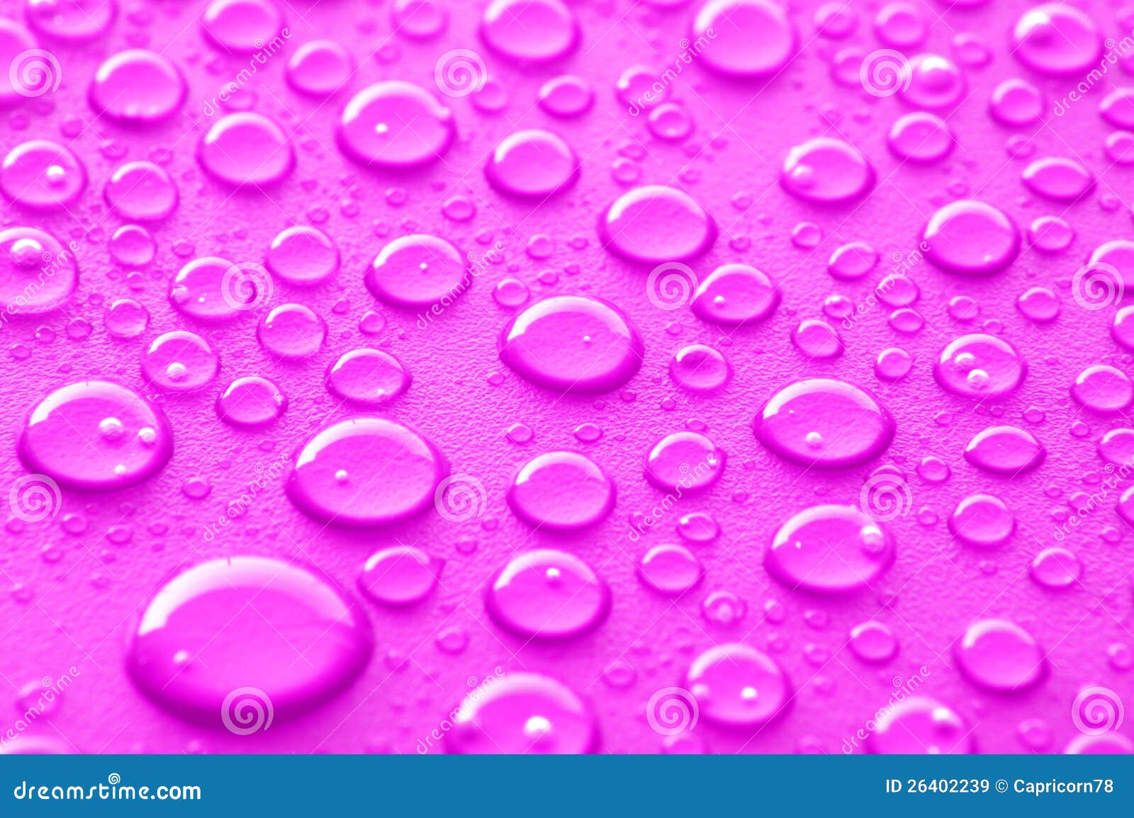 Pink water drops stock image. Image of liquid, shine - 26402239