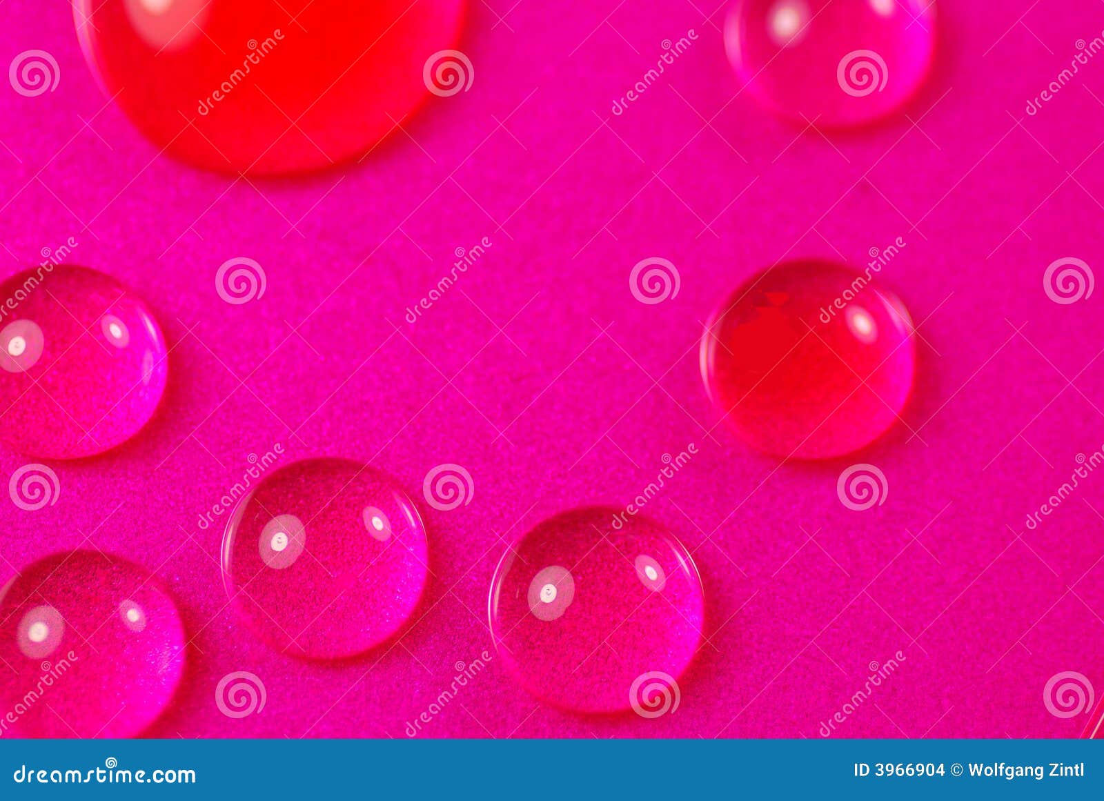 Pink water drops stock photo. Image of environment, closeup - 3966904