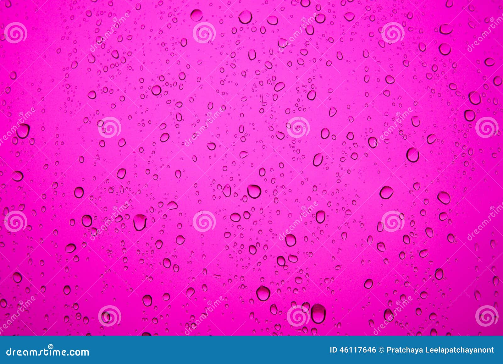 Transparent Pink Drops Vector Illustration | CartoonDealer.com #92994718