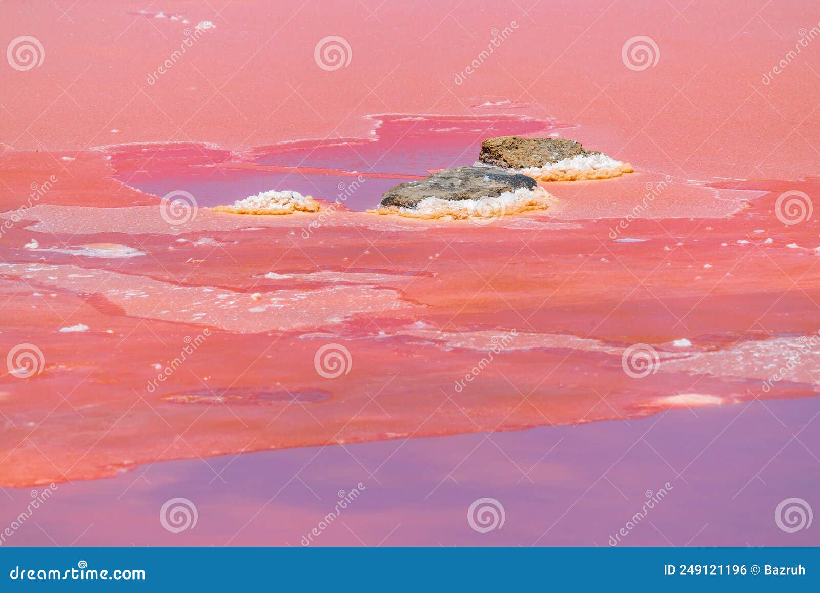 Pink Water of the Salt Lake Stock Photo - Image of beautiful, scenic ...