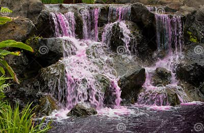 Pink Waterfall stock photo. Image of pond, splash, green - 6412948