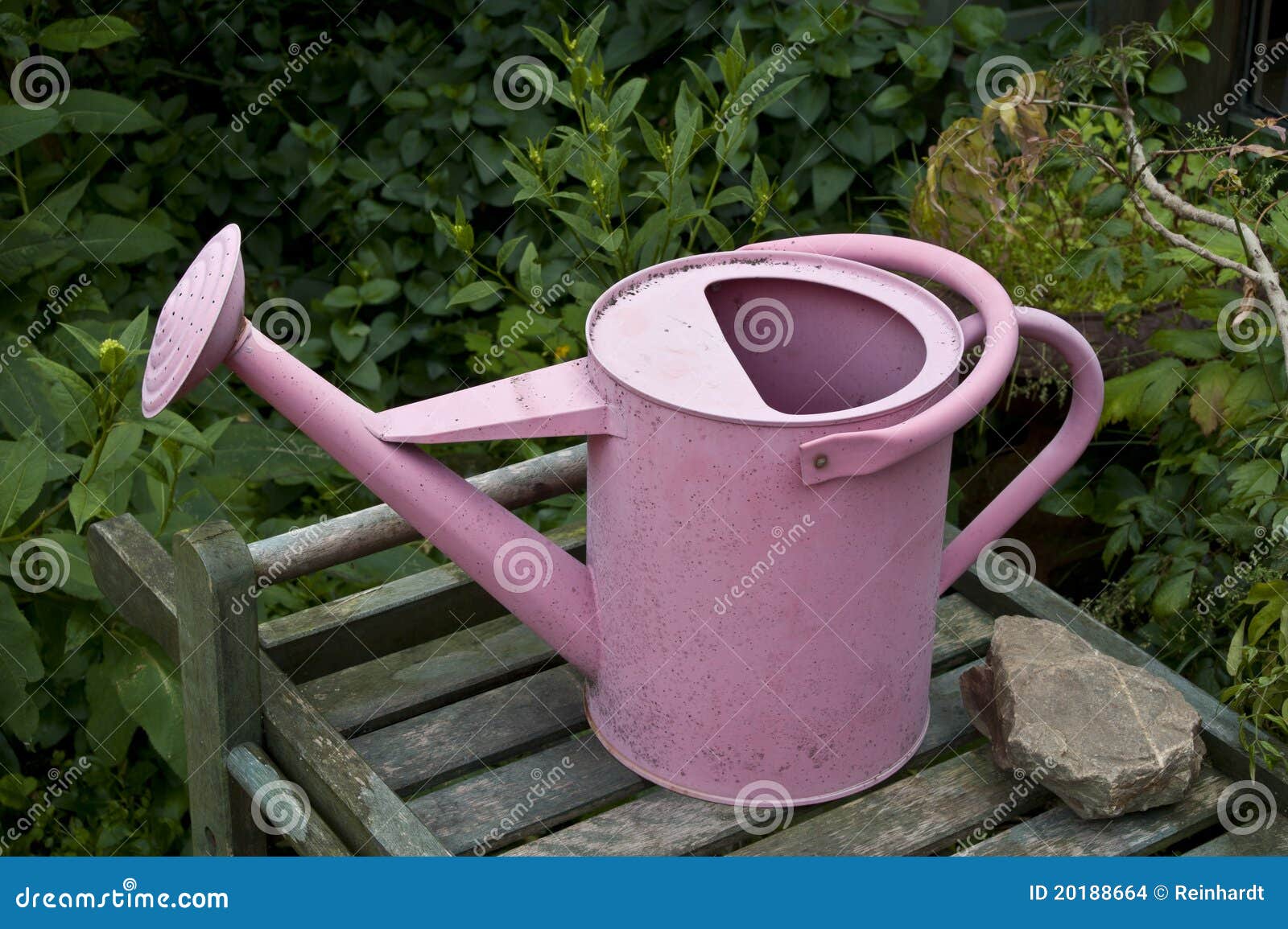 Pink watering can stock photo. Image of metal, gardening - 20188664