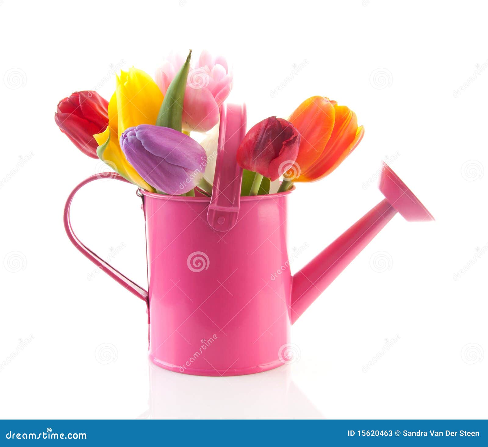 Colorful Watering Cans