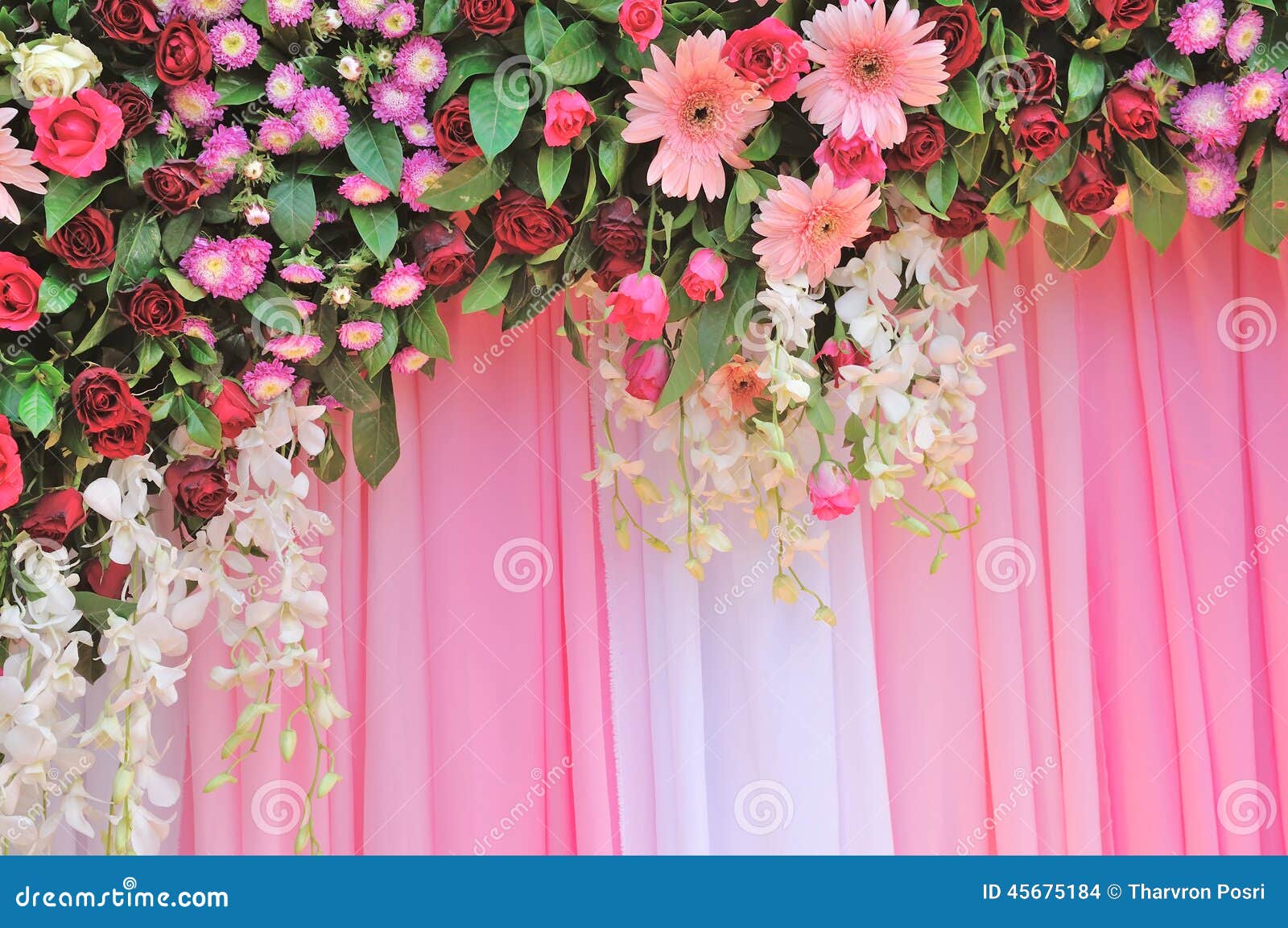 Pink and White Backdrop Flowers Arrangement Stock Photo - Image of ...