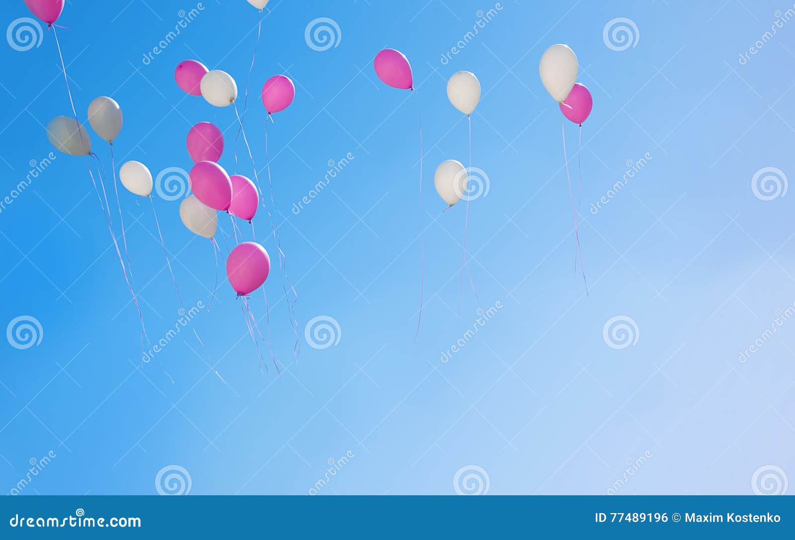 Pink and White Balloons Flying in the Sky Stock Photo - Image of ...
