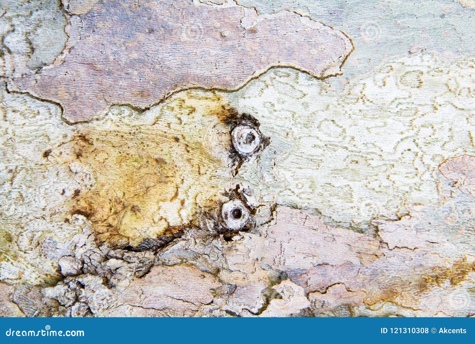 Pink White and Brown Tree Bark Texture with Repeating Patterns Stock ...