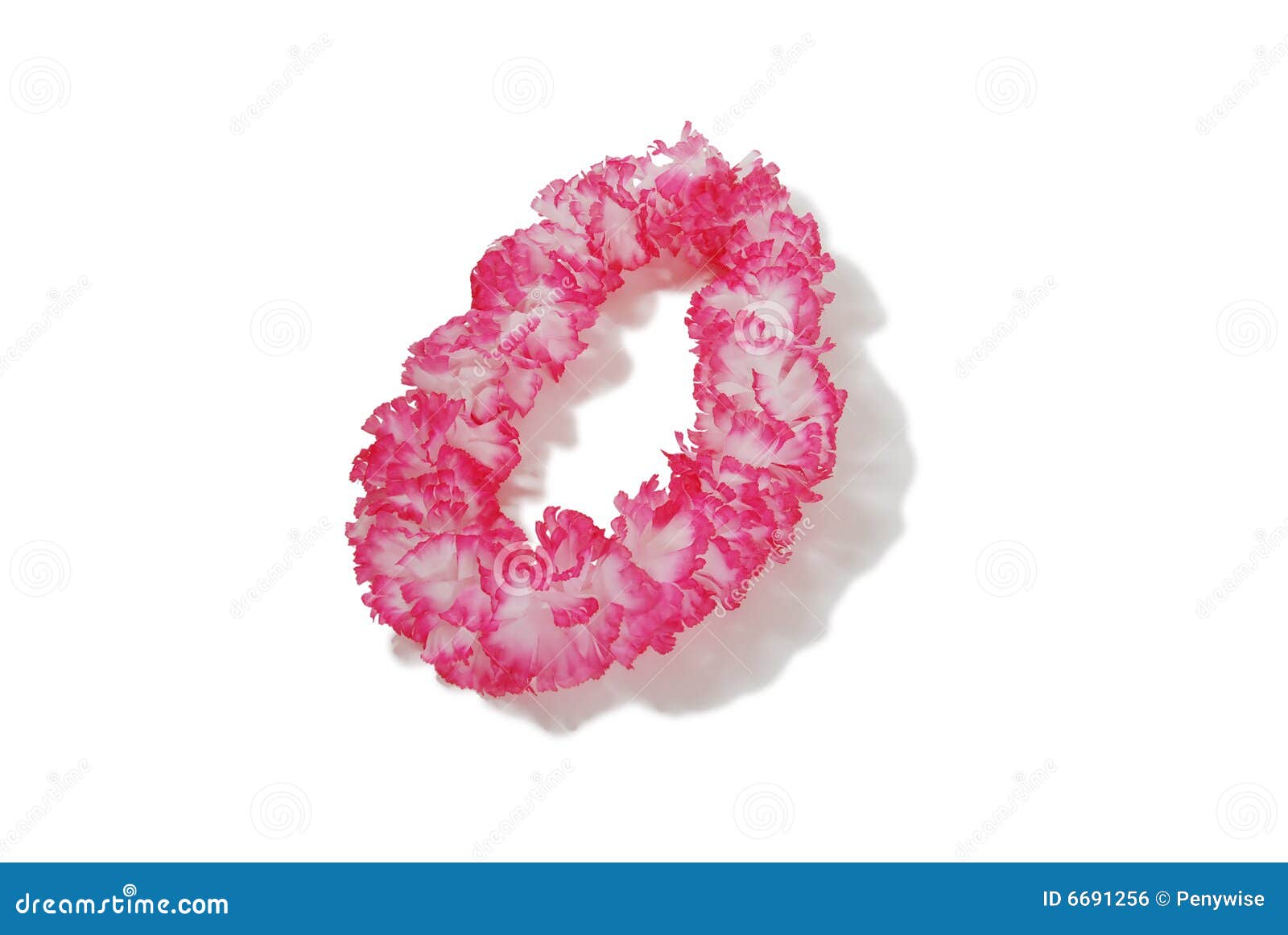 Pink and white Lei stock photo. Image of adornment, decorate - 6691256
