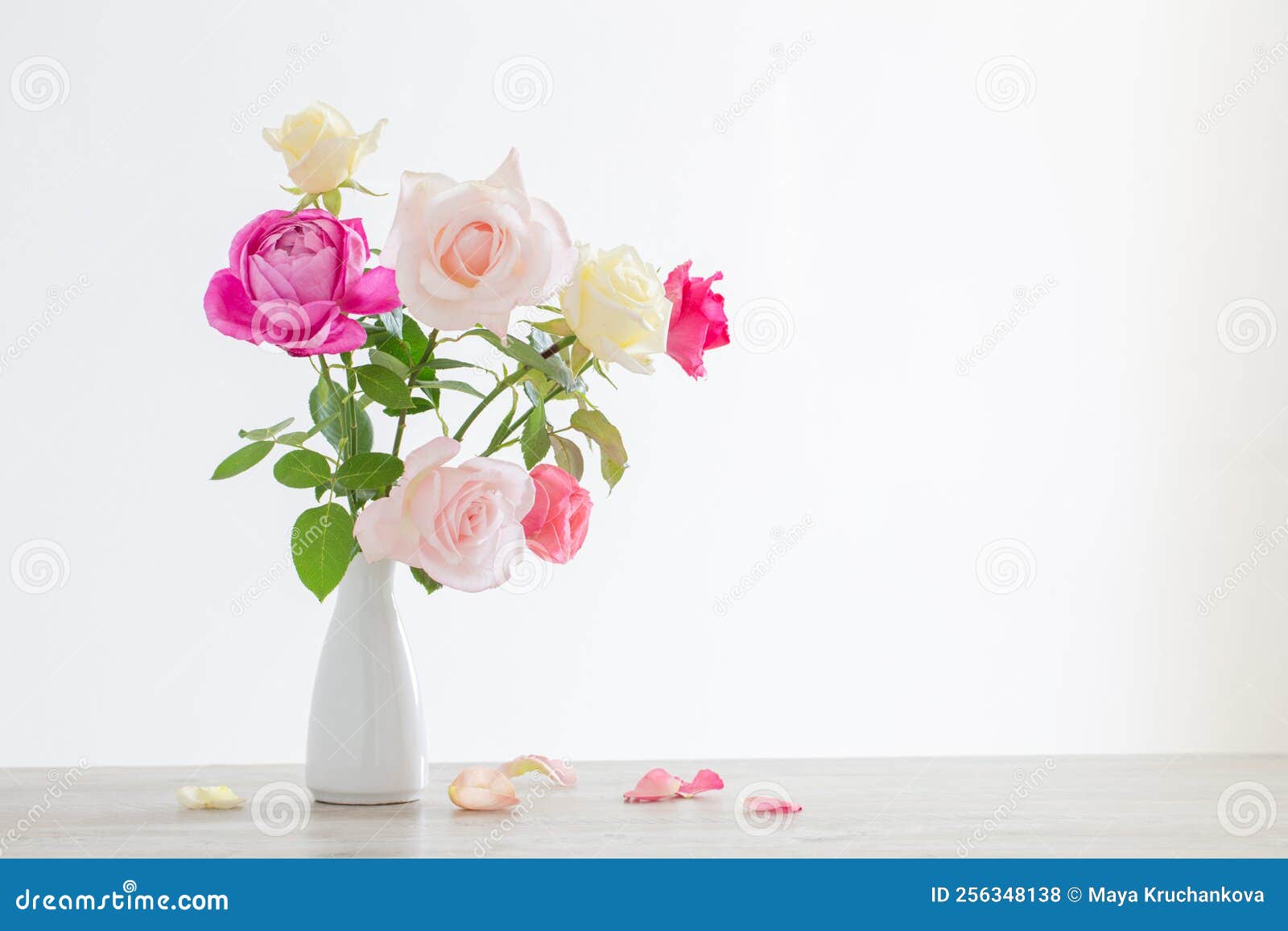 Pink and White Roses in Ceramic Vase on White Background Stock Photo ...