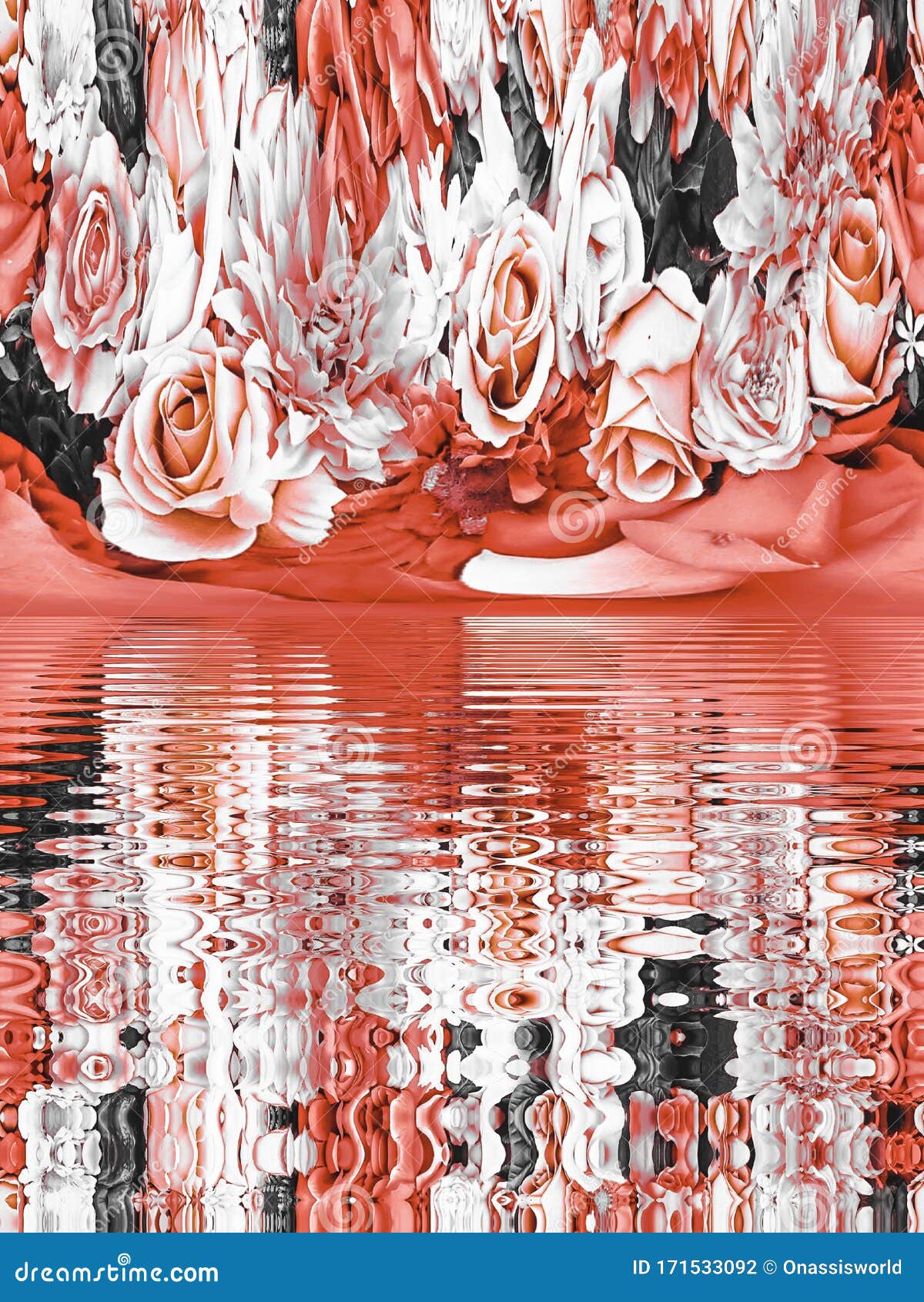 Pink White Roses on Water Reflections Stock Photo - Image of water ...