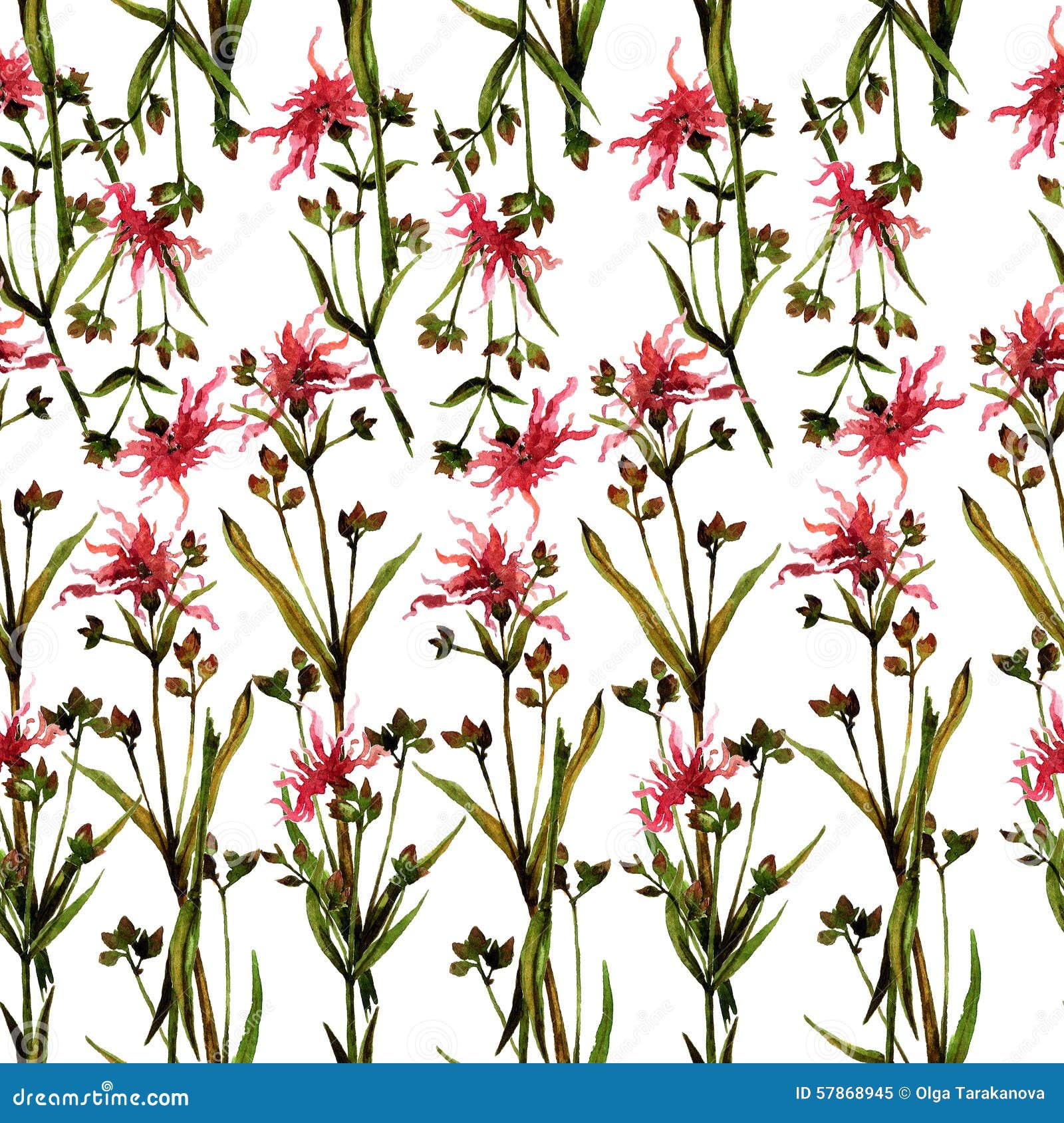 Pink wildflowers stock illustration. Illustration of apling - 57868945